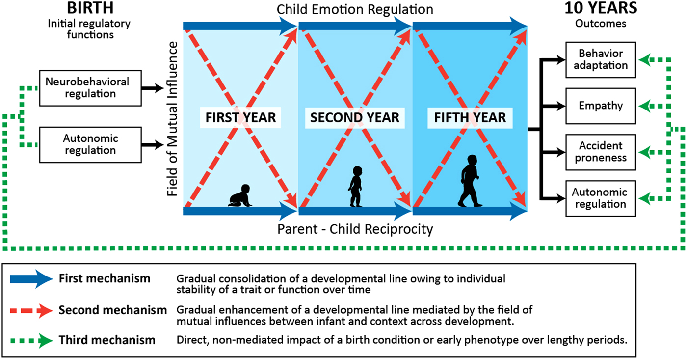 Mutual influences between child emotion regulation and parent–child ...