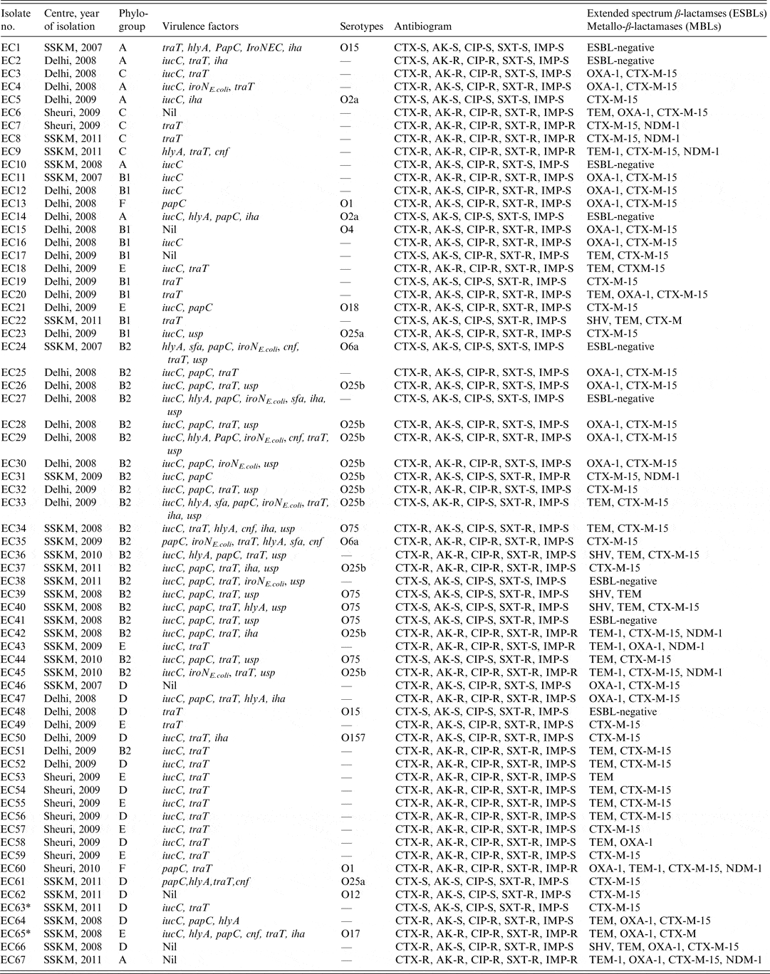 Insight into neonatal septicaemic Escherichia coli from India with ...