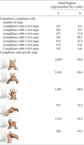 Compliance with the World Health Organization Hand Hygiene Technique: A ...
