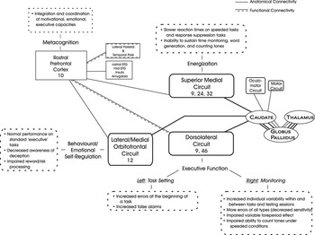 Functions of the Frontal Lobes: Relation to Executive Functions ...