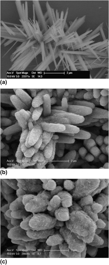 Solvothermal synthesis of a highly branched Ta-doped TiO2 | Journal of ...