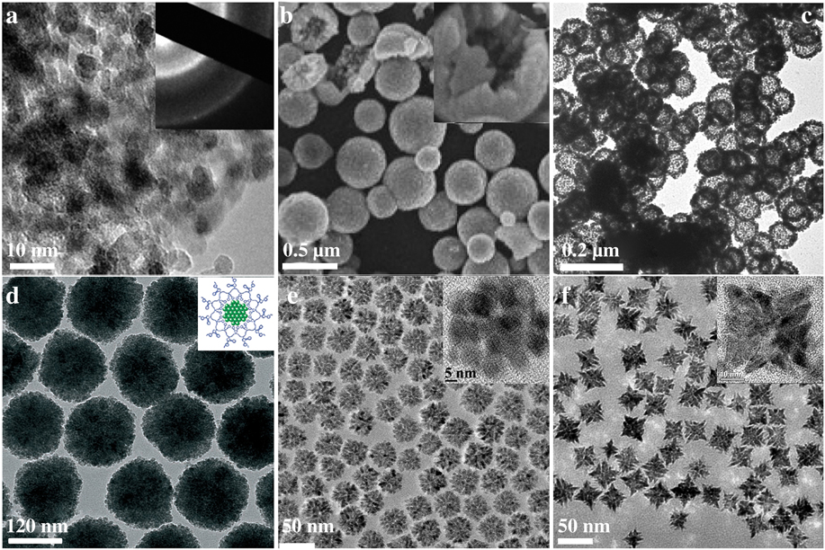 Self-assembly of superparamagnetic nanoparticles | Journal of Materials ...