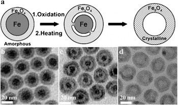 Self-assembly of superparamagnetic nanoparticles | Journal of Materials ...