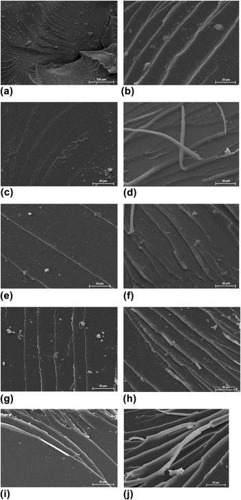 Efficiency comparison of hyperbranched polymers as toughening agents ...