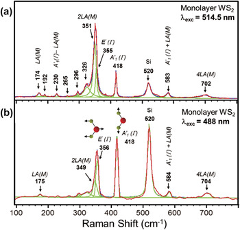 Distinct photoluminescence and Raman spectroscopy signatures for ...