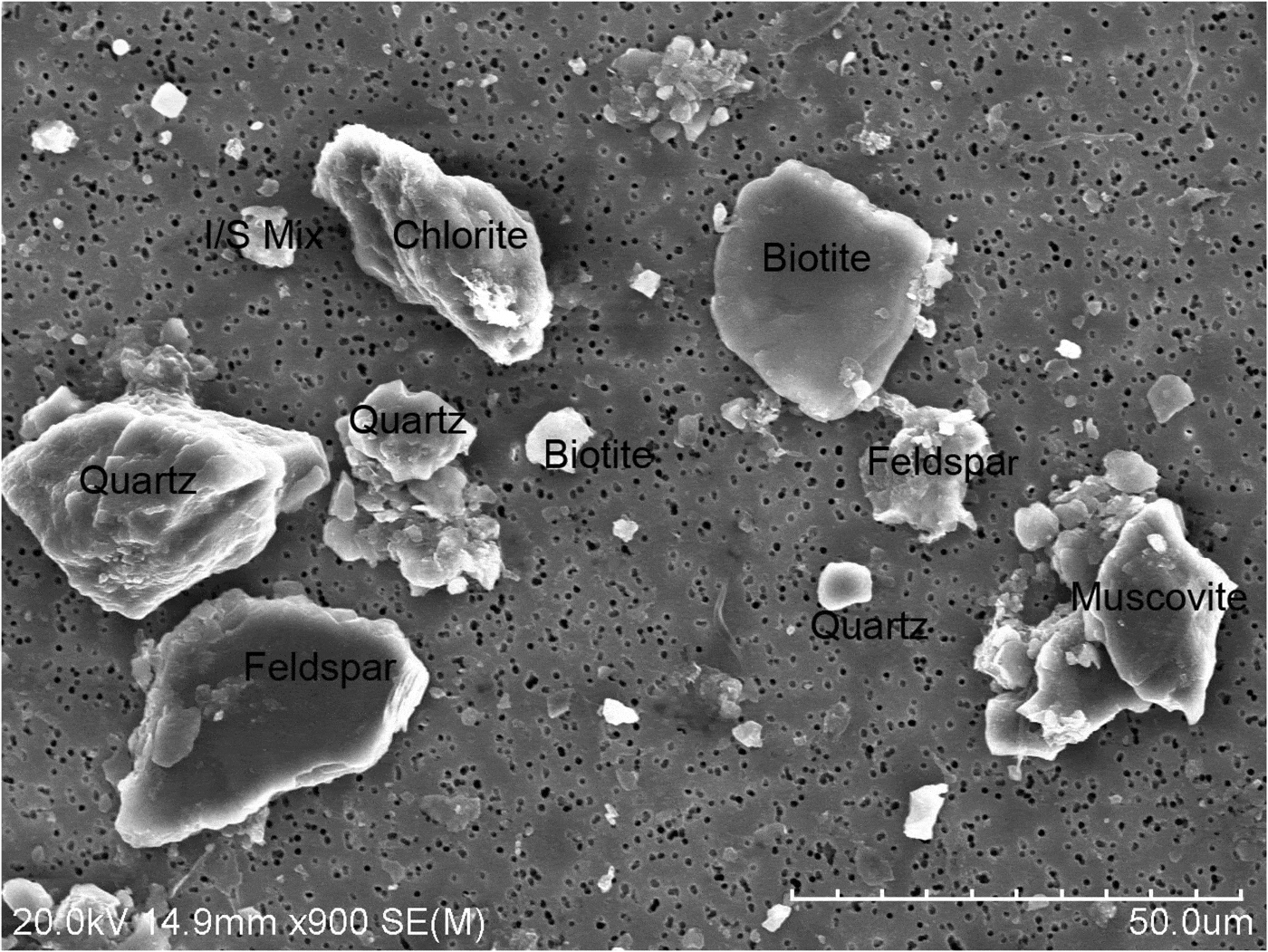 Mineralogical and morphological properties of individual dust particles ...