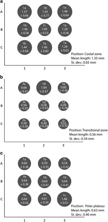 Snow particle sizes and their distributions in Dronning Maud Land ...