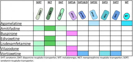 Modulating the serotonin system in the treatment of major depressive ...