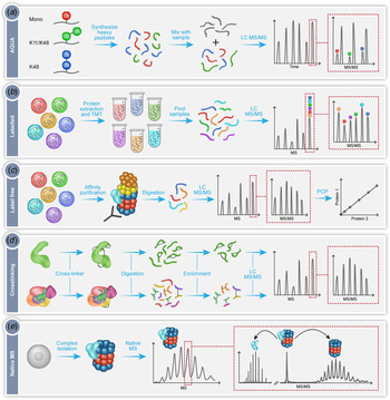 Mass spectrometry: a technique of many faces | Quarterly Reviews of ...