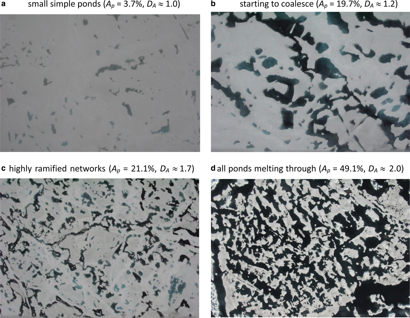 Melt pond distribution and geometry in high Arctic sea ice derived from ...