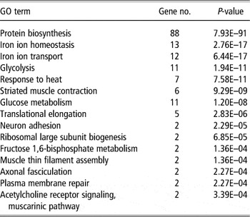 Profiling of the yak skeletal muscle tissue gene expression and ...