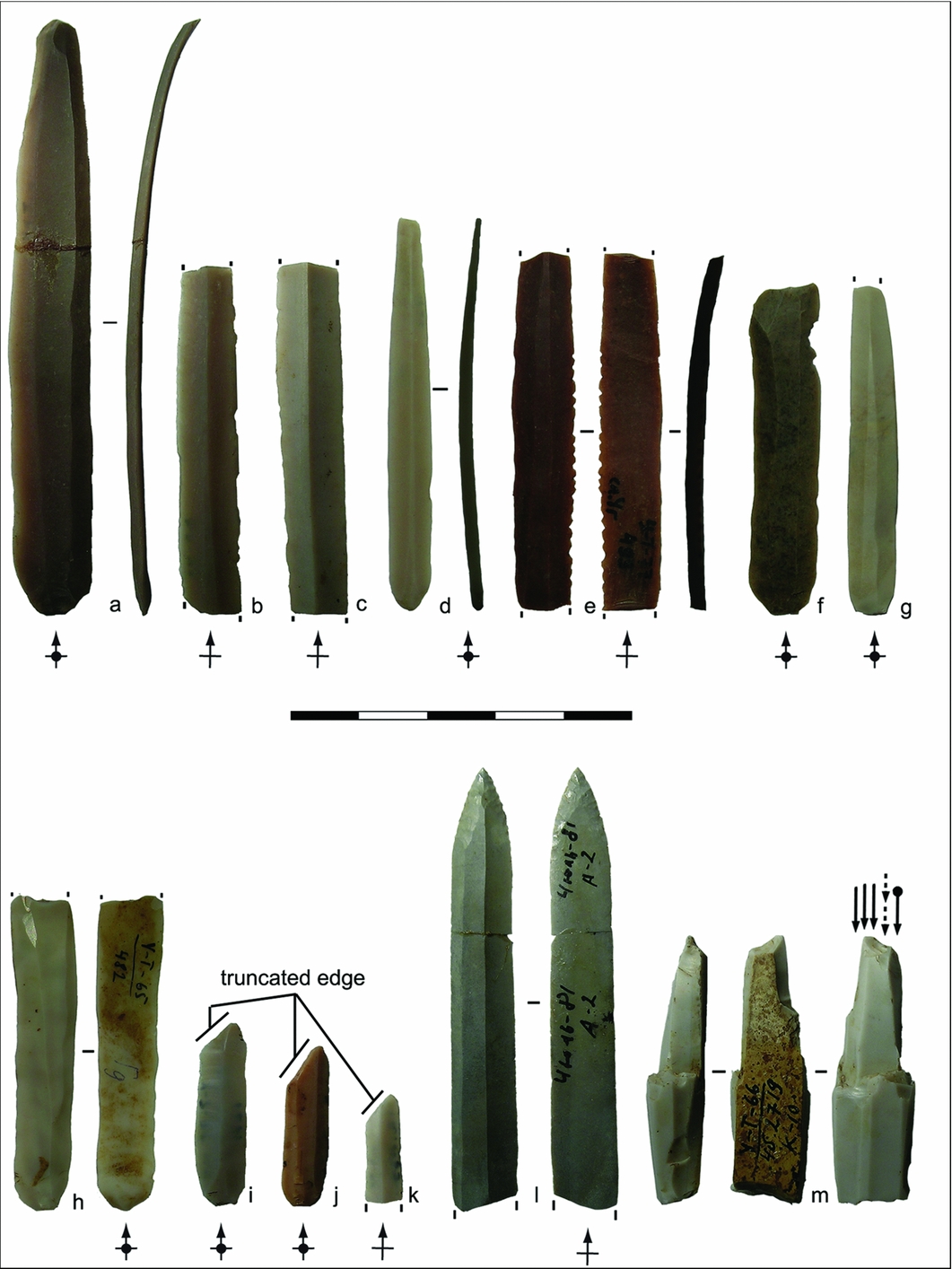 Migrations and interactions in prehistoric Beringia: the evolution of ...