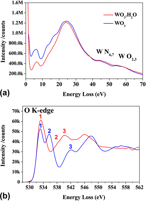 Synthesis of tungsten oxide nanoparticles using a hydrothermal method ...
