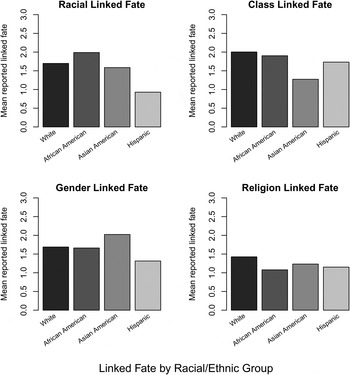 Americans' Belief in Linked Fate: Does the Measure Capture the Concept ...