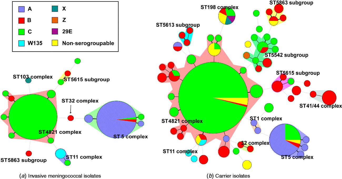 Distribution of serogroups and sequence types in disease-associated and ...