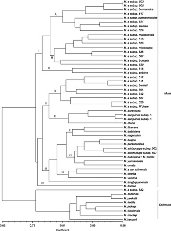 Molecular phylogeny of genus Musa determined by simple sequence repeat ...