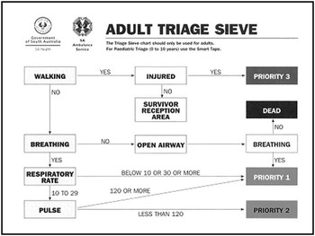 Paramedic Application of a Triage Sieve: A Paper-Based Exercise ...