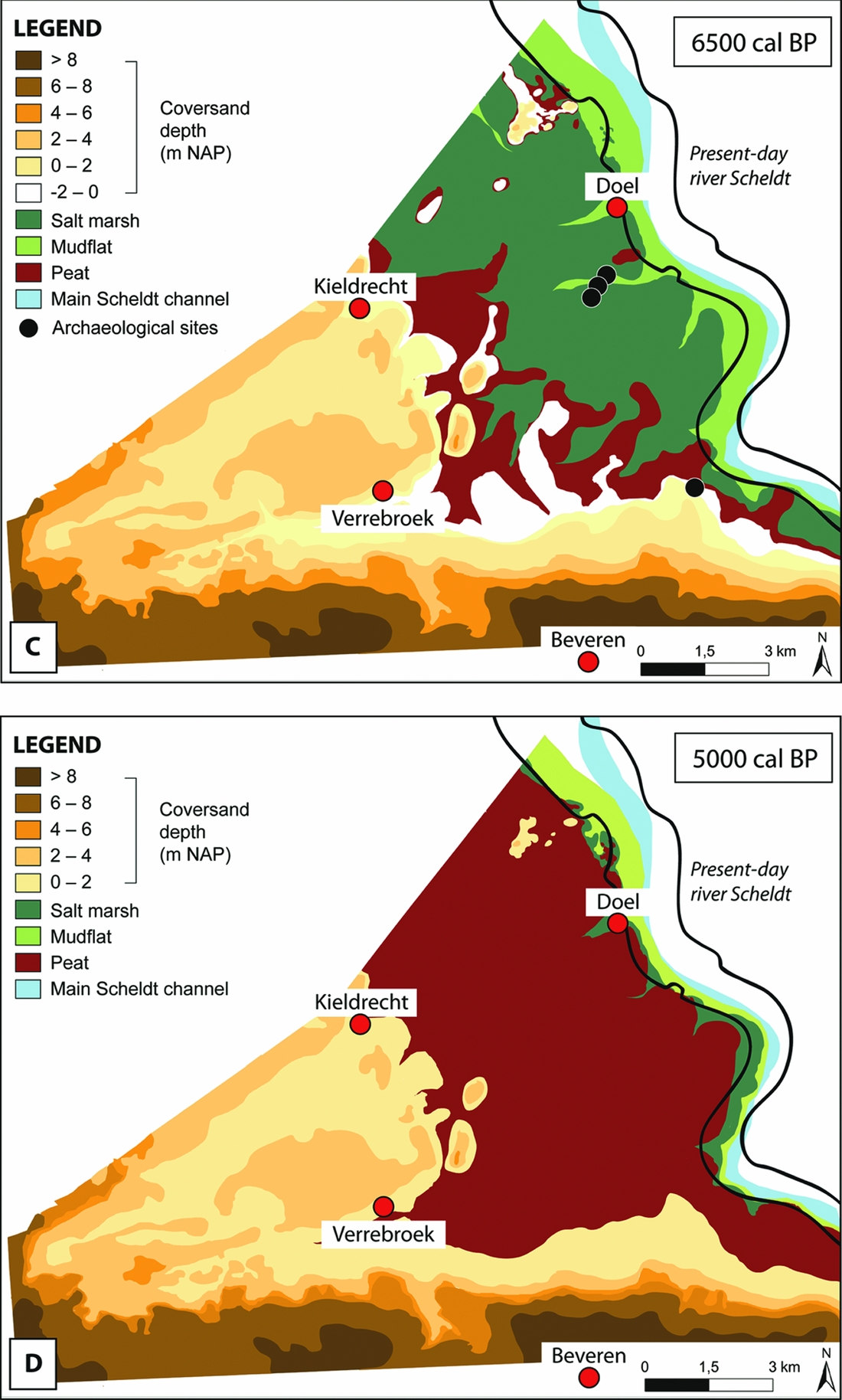 Holocene landscape evolution of an estuarine wetland in relation to its ...