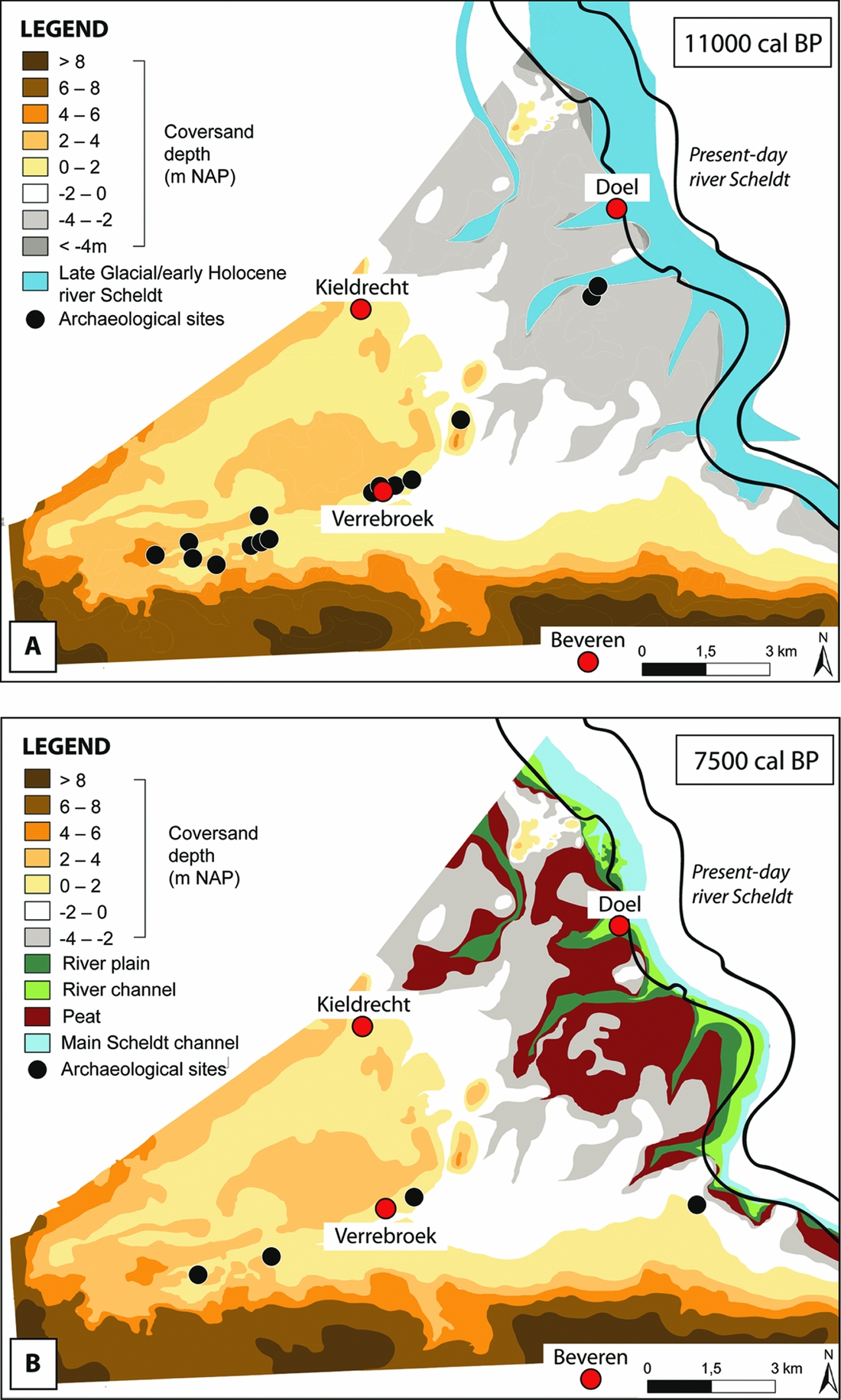 Holocene landscape evolution of an estuarine wetland in relation to its ...