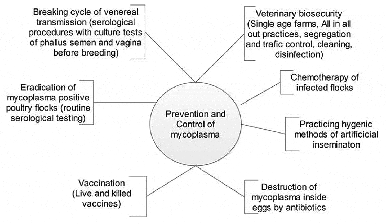Mycoplasmosis in poultry: update on diagnosis and preventive measures ...