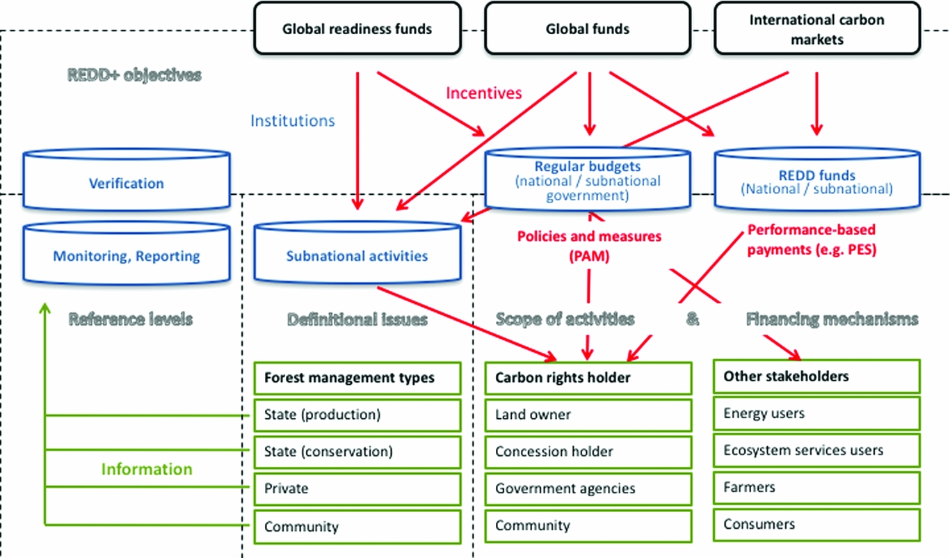 Risks to REDD+: potential pitfalls for policy design and implementation ...