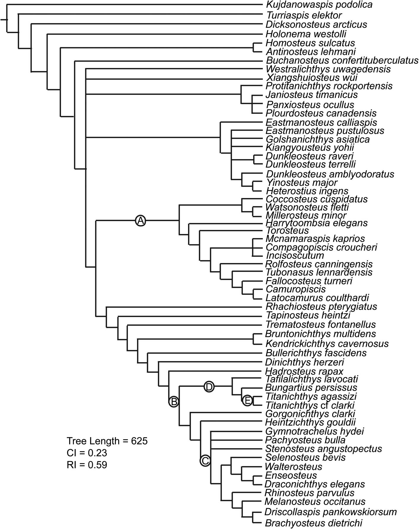 New information on Titanichthys (Placodermi, Arthrodira) from the ...