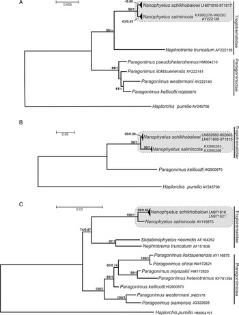 Genetic divergence of human pathogens Nanophyetus spp. (Trematoda ...