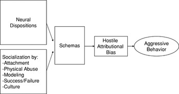 Translational science in action: Hostile attributional style and the ...