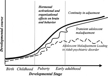 Pubertal neuromaturation, stress sensitivity, and psychopathology ...