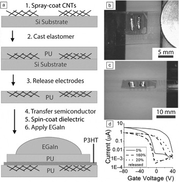 Intrinsically stretchable field-effect transistors | MRS Bulletin ...