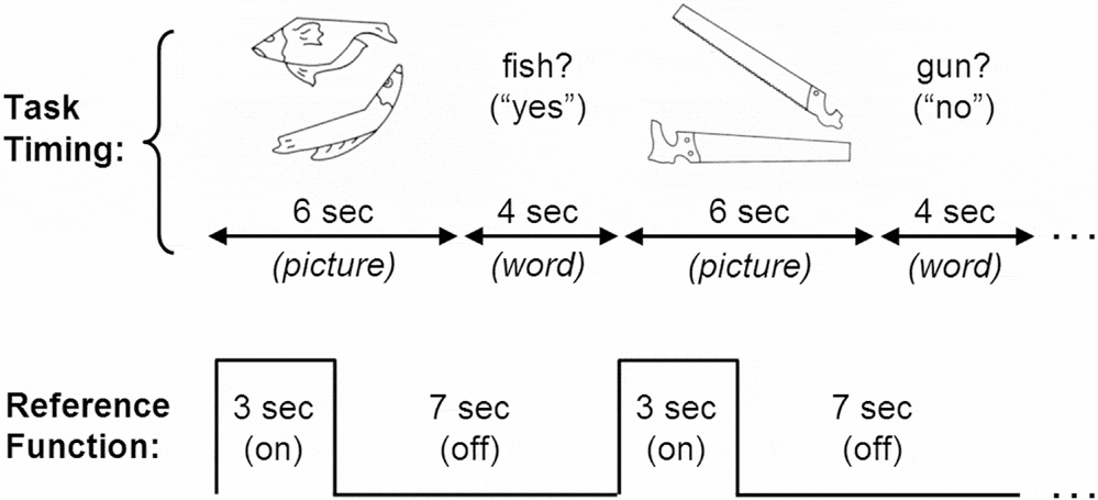 Functional MRI neuroanatomic correlates of the Hooper Visual ...