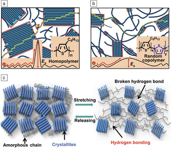 Strategies for stretchable polymer semiconductor layers | MRS Bulletin ...