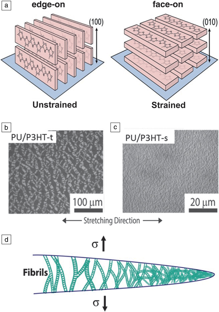 Strategies for stretchable polymer semiconductor layers | MRS Bulletin ...