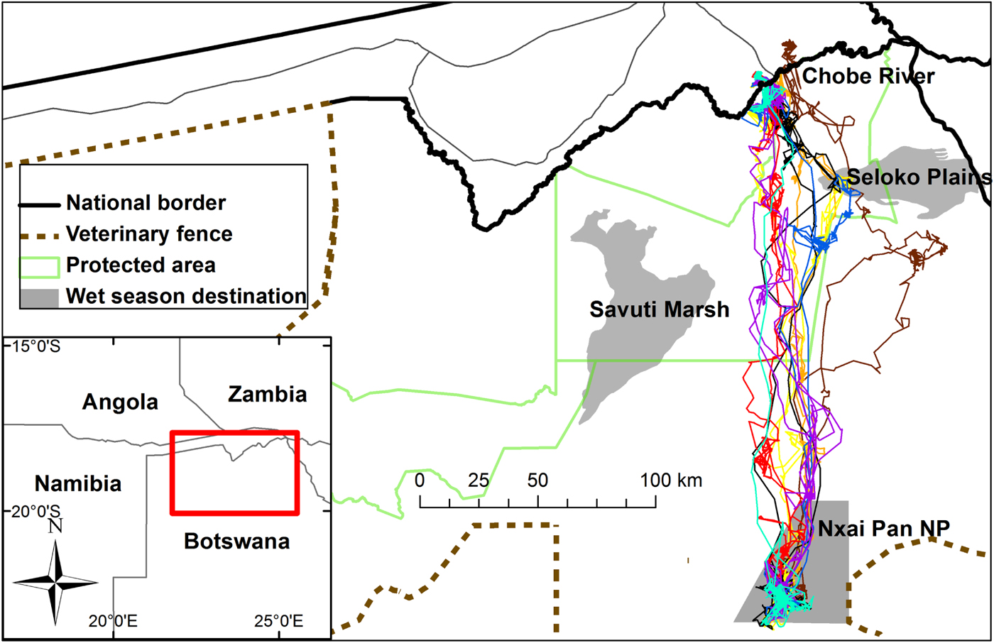 A newly discovered wildlife migration in Namibia and Botswana is the ...