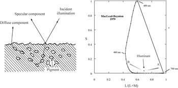 Monge: The Verriest Lecture, Lyon, July 2005 | Visual Neuroscience ...