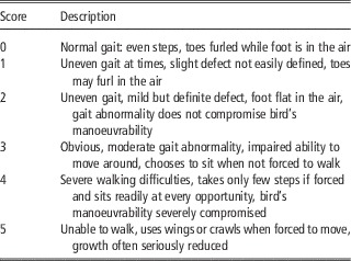 Perches and elevated platforms in commercial broiler farms: use and ...