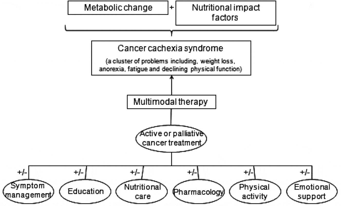 The nursing contribution to nutritional care in cancer cachexia ...