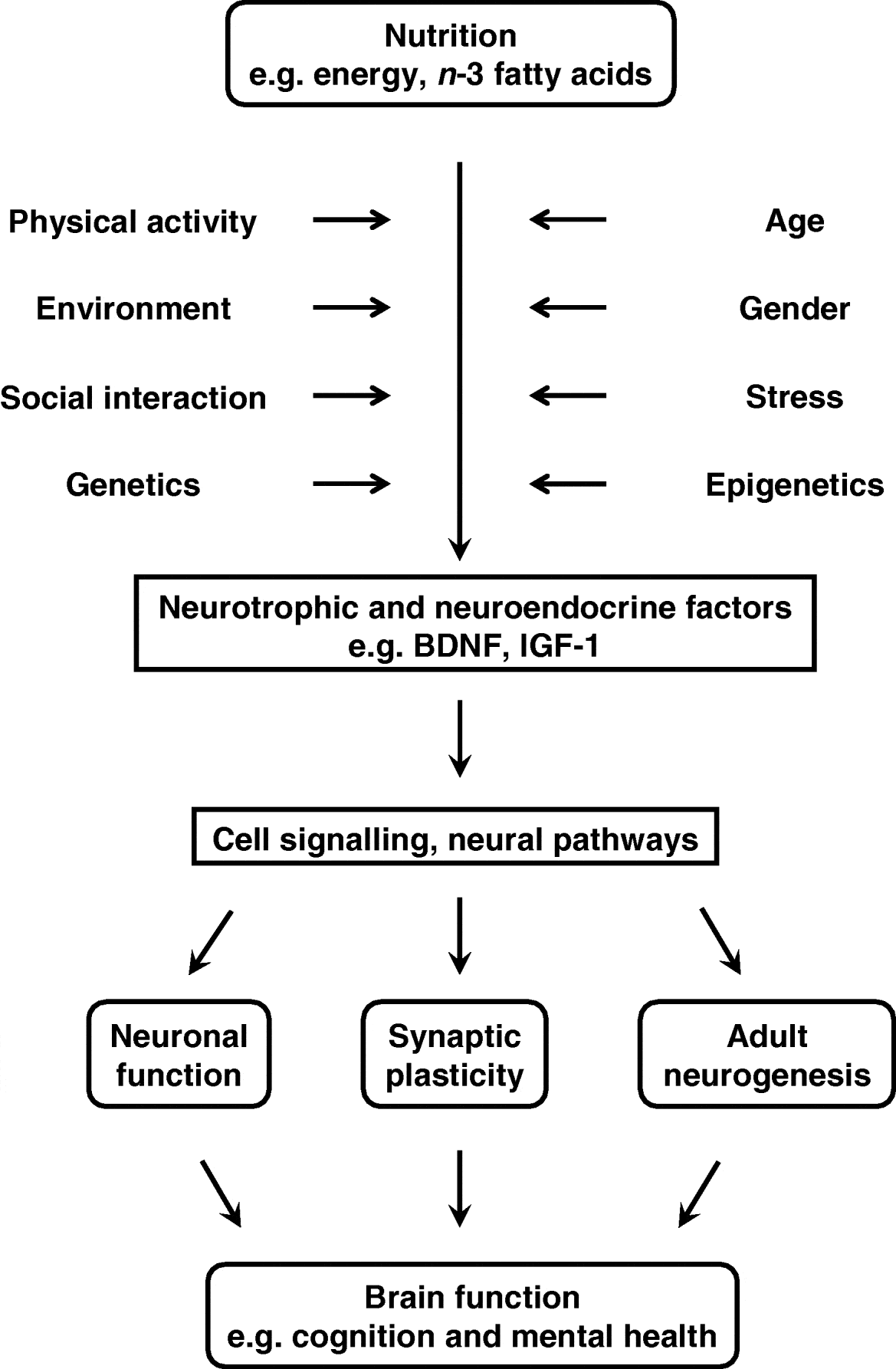 New insights into nutrition and cognitive neuroscience | Proceedings of ...
