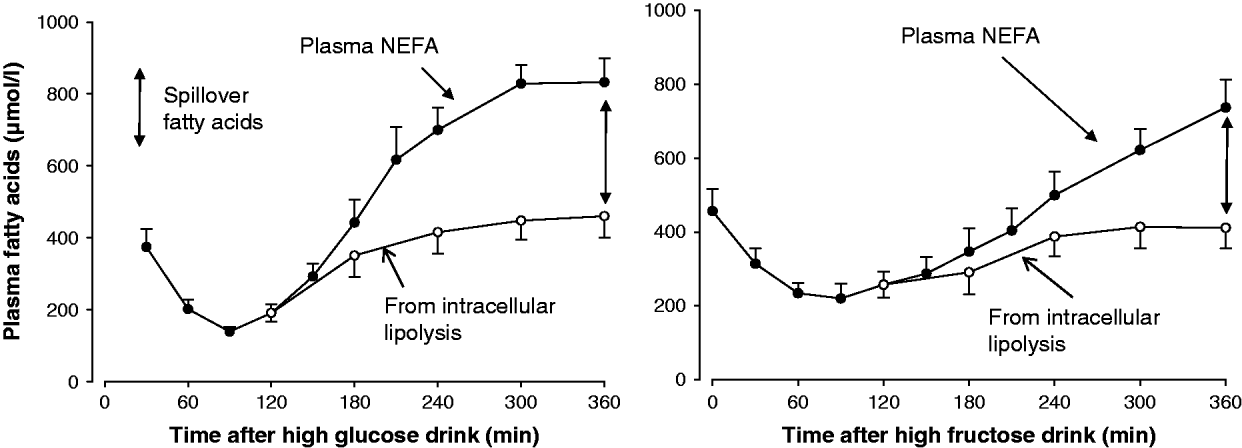 Tracing the fate of dietary fatty acids: metabolic studies of ...