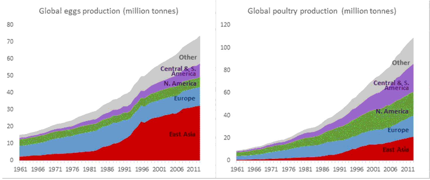 Global poultry production: current state and future outlook and ...