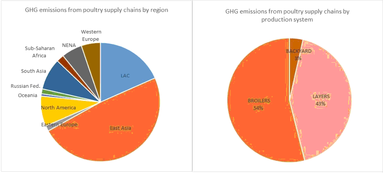 Global poultry production: current state and future outlook and ...