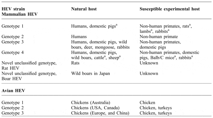 Viral hepatitis in chicken and turkeys | World's Poultry Science ...