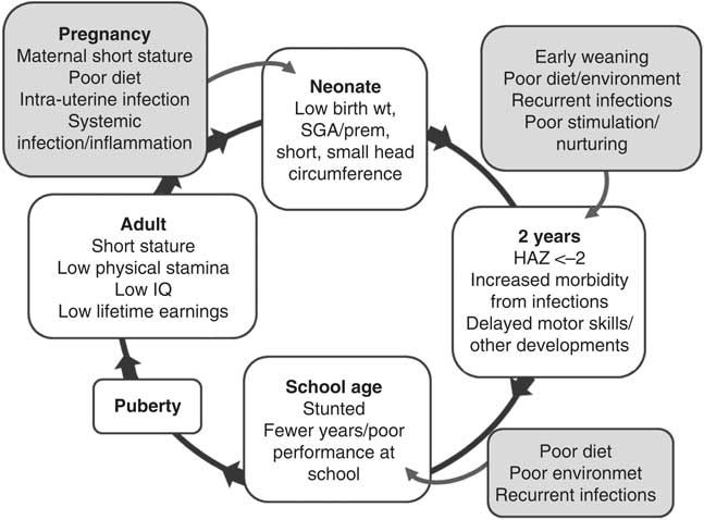 Nutrition, infection and stunting: the roles of deficiencies of ...