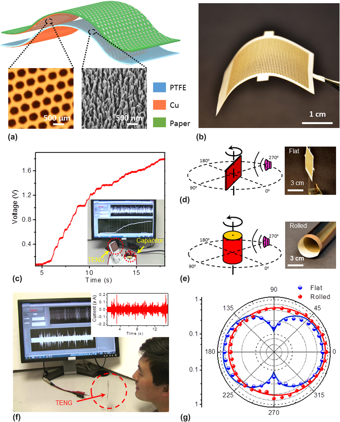 Progress in triboelectric nanogenerators as self-powered smart sensors ...