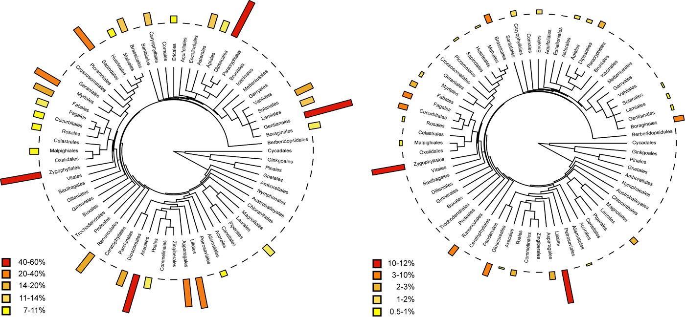 Photoinhibition of seed germination: occurrence, ecology and phylogeny ...
