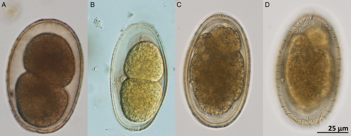 Host specificity and basic ecology of Mammomonogamus (Nematoda ...
