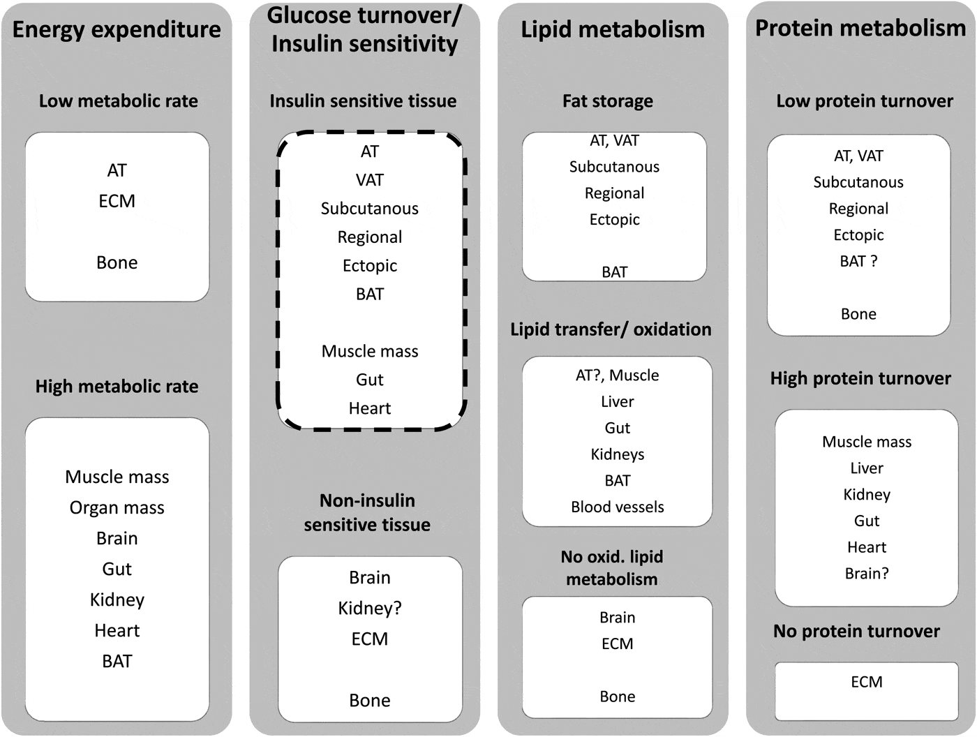 Application of standards and models in body composition analysis ...