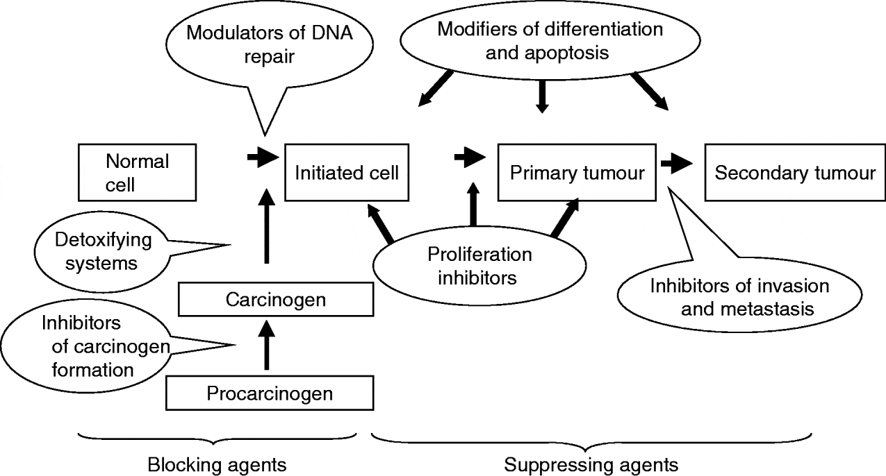 Phytochemicals and cancer | Proceedings of the Nutrition Society ...