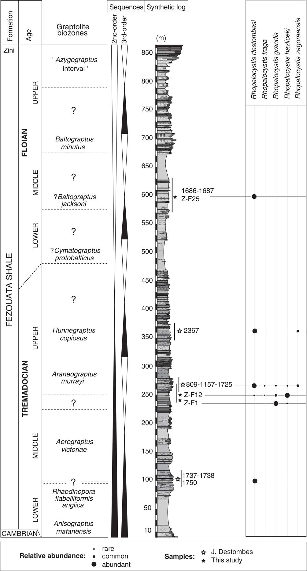 Morphological disparity and systematic revision of the eocrinoid genus ...