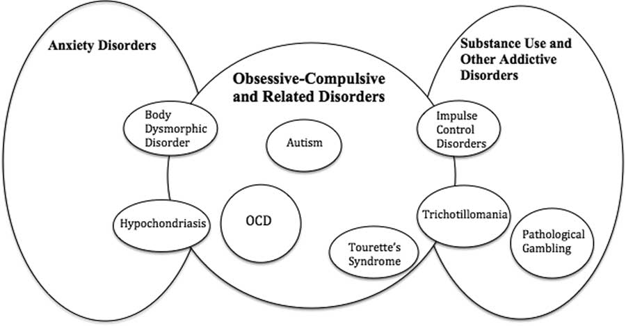 Compulsivity, impulsivity, and the DSM-5 process | CNS Spectrums ...